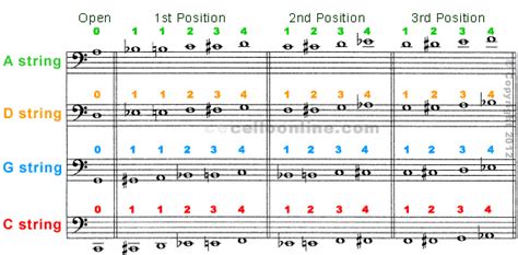 Cello Online Fingering Chart