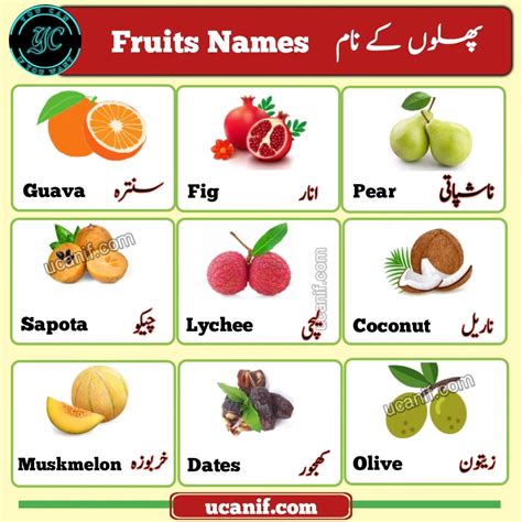 40 Popular Fruits Name In Urdu And English Pictures And Pdf