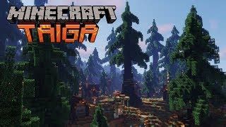 Minecraft Taiga Biome