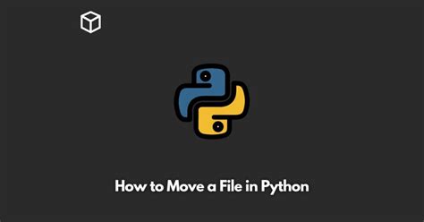 How To Move A File In Python Programming Cube