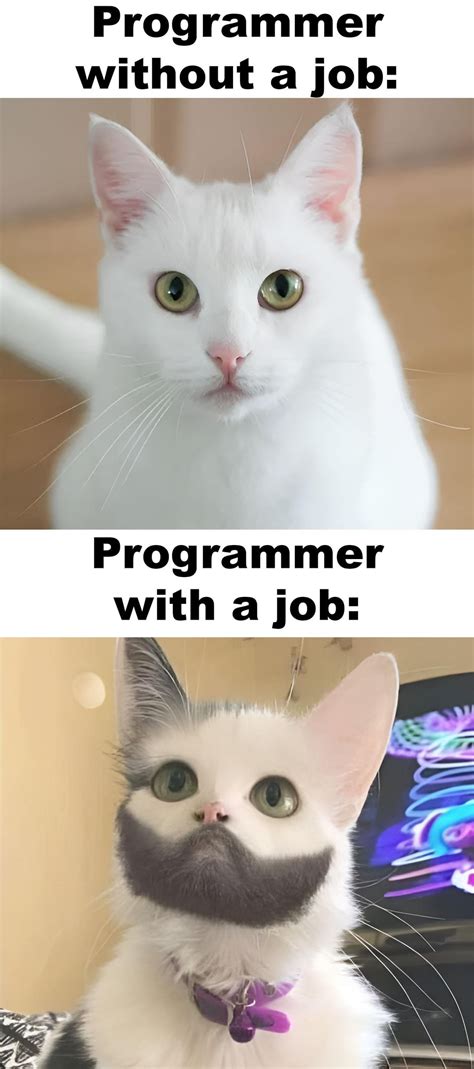 Trying To Get Tkinter To Create Individual Links In A For Loop R