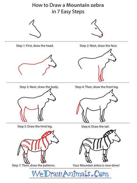 Zebras Drawings Step By Step Learn How To Draw A Cute Zebra EASY TO