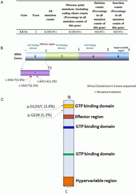 A Frequencies Of Detected Mutations In Different Exons B Mutation
