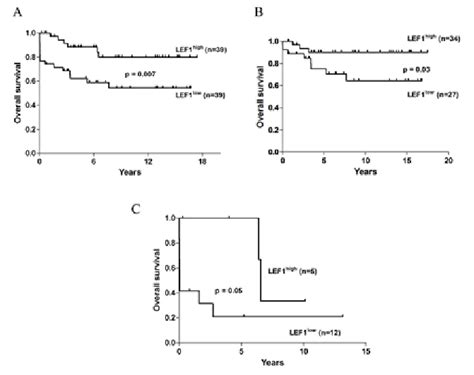 Os Analysis Of Apl Patients According To The Lef1 Expression Value A Download Scientific