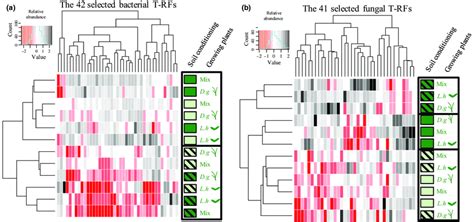 Cluster Of A Bacterial And B Fungal Communities Based On The Download Scientific Diagram