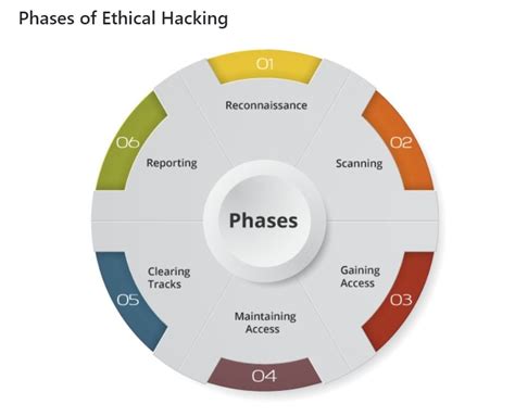 Cybersecurity Infosec Ethicalhacking Pentesting Vulnerabilitymanagement Securityawareness