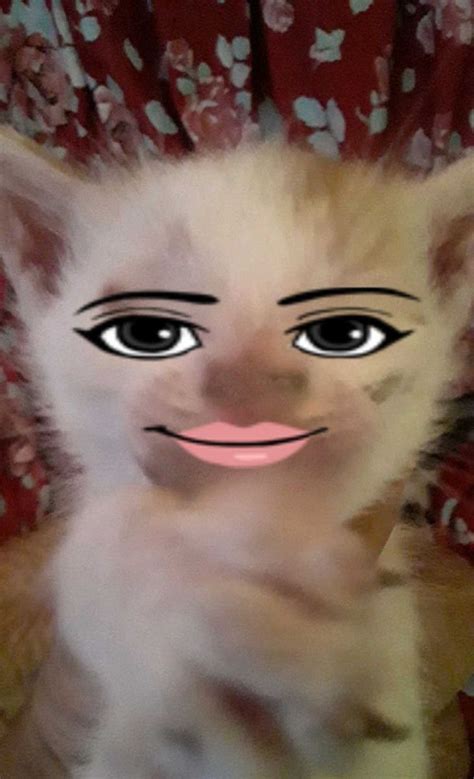 Cute Cat Face On Roblox Woman