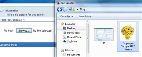 Human Resources Management System Employee Photo In Sshr