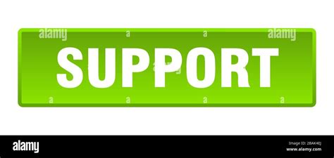 Support Button Support Square Green Push Button Stock Vector Image