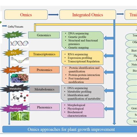 Figure E Schematic Visualizing The Contribution Of Omics Approaches