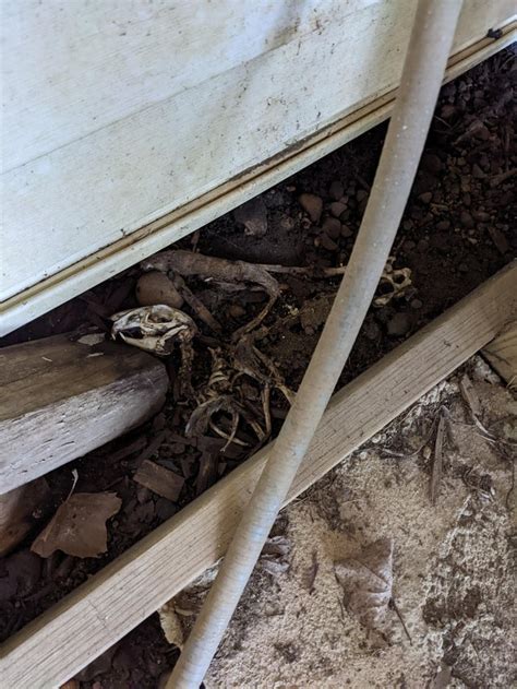 Its Been A While Since Weve Had Any Maintenance Rhvac