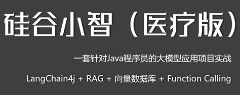 Java企业级大模型应用项目 小智医疗（langchain4j实战）