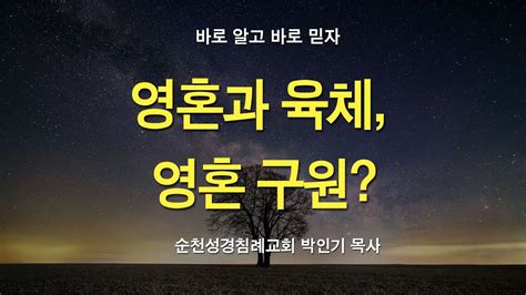 영혼과 육체 영혼 구원 Youtube