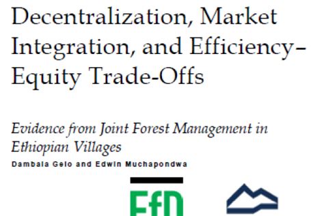 Decentralization Market Integration And Efficiency Equity Trade Offs
