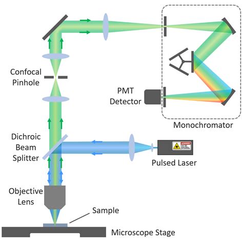 What Is Flim Fluorescence Lifetime Imaging Microscopy