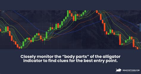 How To Use The Alligator Indicator For Binary Options