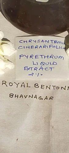 Pyrethrum 2 Liquid Extract Botanical Organic Pesticide Insecticide At ₹ 750 Litre Talaja Id