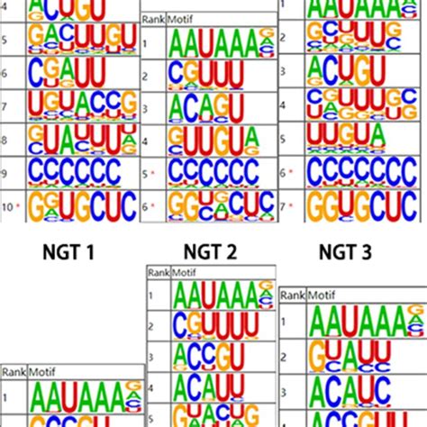 Sequence Analysis Of Polya Loci Download Scientific Diagram