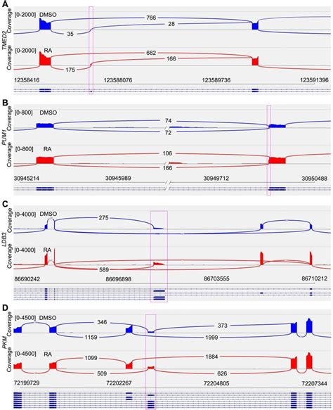 Sashimi Plot Shows The Alternative Splicing Of Maturation Related