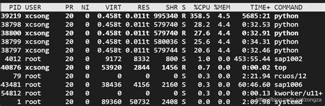 Linux 查看进程pid以及进程详细信息查看某个进程pid的信息 Csdn博客