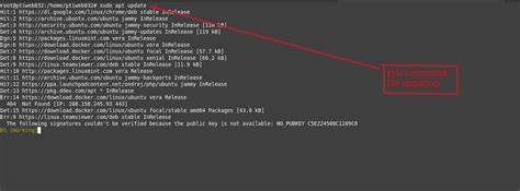 how to setup lamp in ubuntu {step by step guide} pti webtech