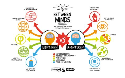 Waarom Het Beter Is Om Beide Hersenhelften Te Gebruiken Kracht Van