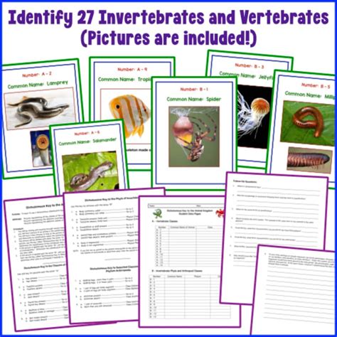 Classification Lab On Dichotomous Keys Classification Of Living Things