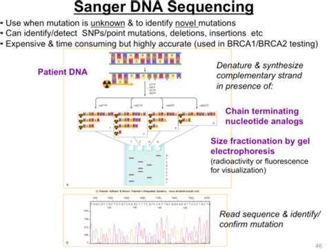 Bmd 320 Exam 3 Flashcards Quizlet