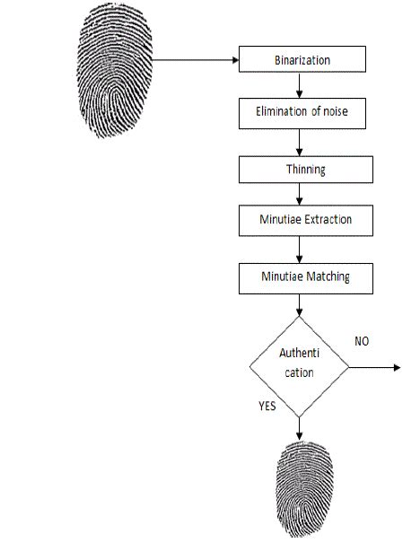 personal authentication using fingerprint biometric system open
