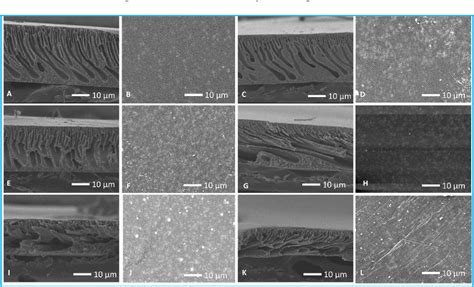 Figure 3 From Role Of Membranesolute Affinity Interactions In