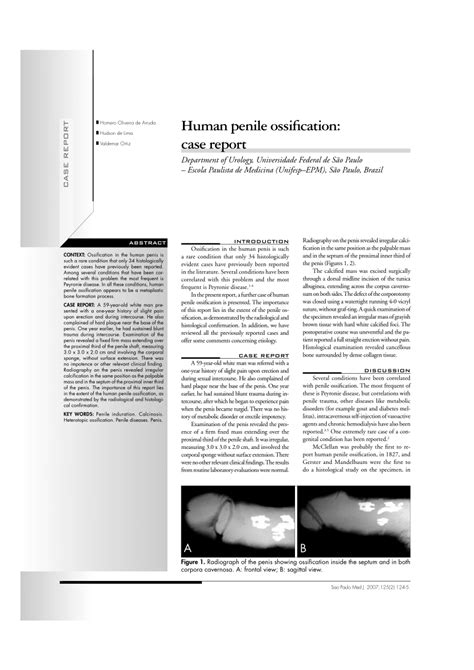 Pdf Human Penile Ossification Case Report