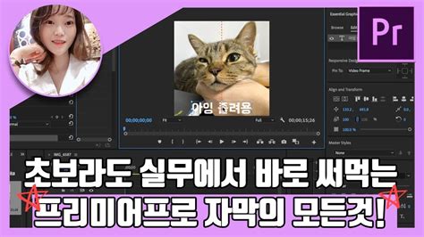프리미어프로 강좌 초보라도 실무에서 바로 사용하는 프리미어프로 자막의 모든것 Youtube