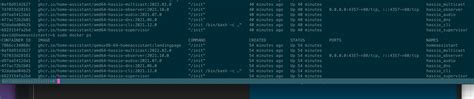 Installed Home Assistant On Debian Configuration Home Assistant