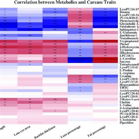 Correlation Analysis Between The Top 40 Serum Metabolites And Carcass