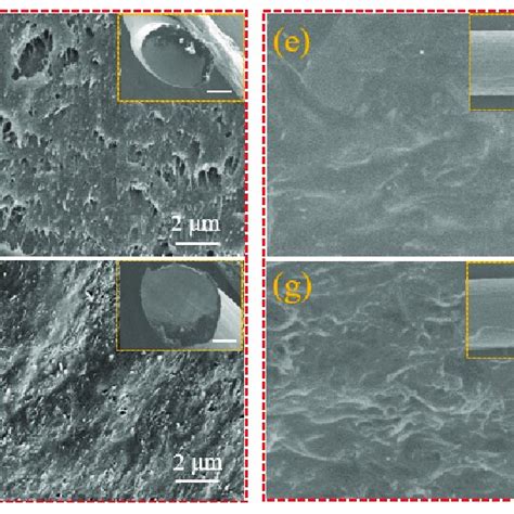 Cross Section And Longitudinal Morphologies Of Cntpla Samples With