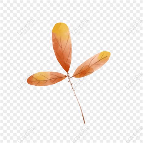 손으로 그린 식물 잎 요소 그림 일러스트 녹색삽화초록 Png 일러스트 무료 다운로드 Lovepik