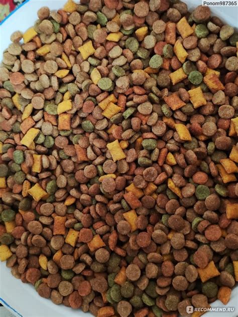 Корм для кошек Whiskas с курицей и вкусными подушечками - «Бюджетный ...