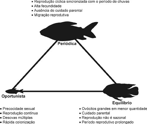 Simplified Model Of The Reproductive Strategies Continuum Adapted From