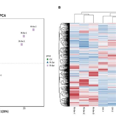 Principal Component A And Hierarchical Clustering Analyses B Of