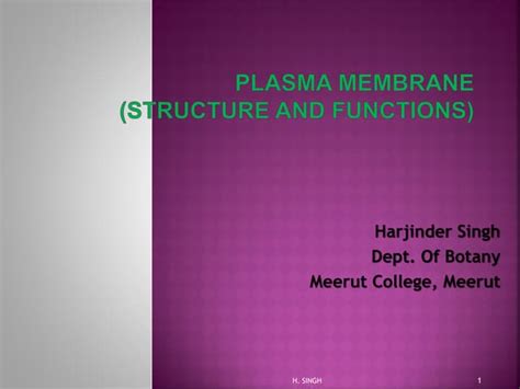 Structure Of Model Membrane Pptx