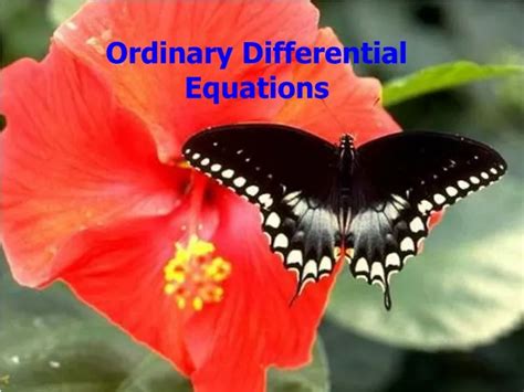 Ppt Ordinary Differential Equations Powerpoint Presentation Free