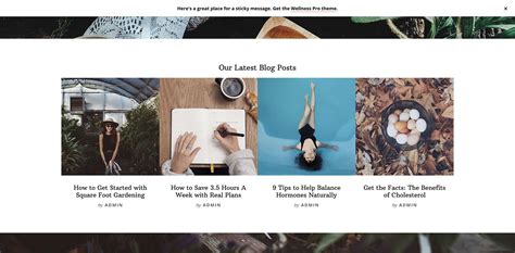 How To Add A Heading Above Blog Posts In Front Page 2 Section Of