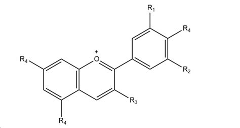 How To Obtain Organic Anthocyanins Powder Knowledge