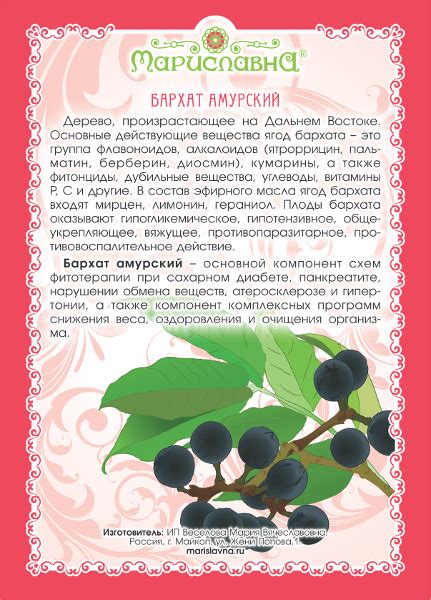 Бархат амурский (ягоды) купить / Лекарственные травы / фитомагазин ...