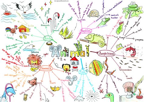 Animals Mind Map Art Mind Map Mind Map Examples