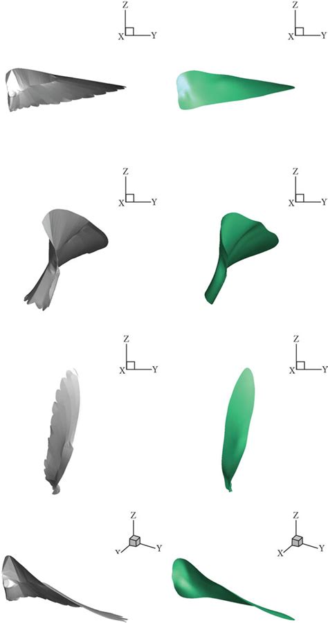 The Comparison Between The Experimental Model And The Reconstructed