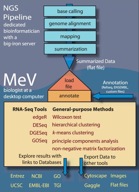 A Potential Workflow For RNA Seq Data Analysis Using MeV Download Scientific Diagram