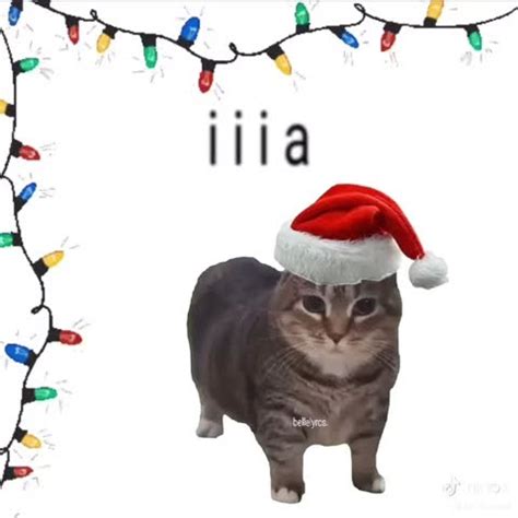 UIA CAT MEME Christmas Edition YouTube