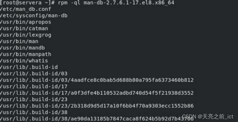 【27】linux进阶——rpm软件包的管理 ltmrpm csdn博客
