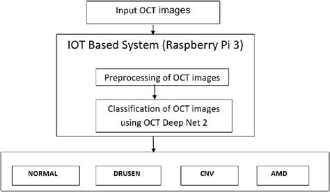 Iot Based Oct Image Classification Using Deep Learning Frame Work